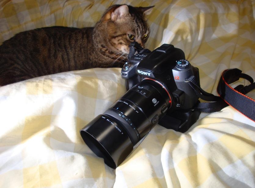 価格.com - 『横から当ててます♪』ハクバ デジタルスレーブストロボ DX DSS-02 potekitiさんのレビュー・評価投稿画像・写真「デジカメのお供に良いですよ♪」[34900]