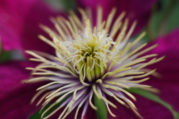 Kenko 77S PRO1D AC クローズアップ NO3 077238